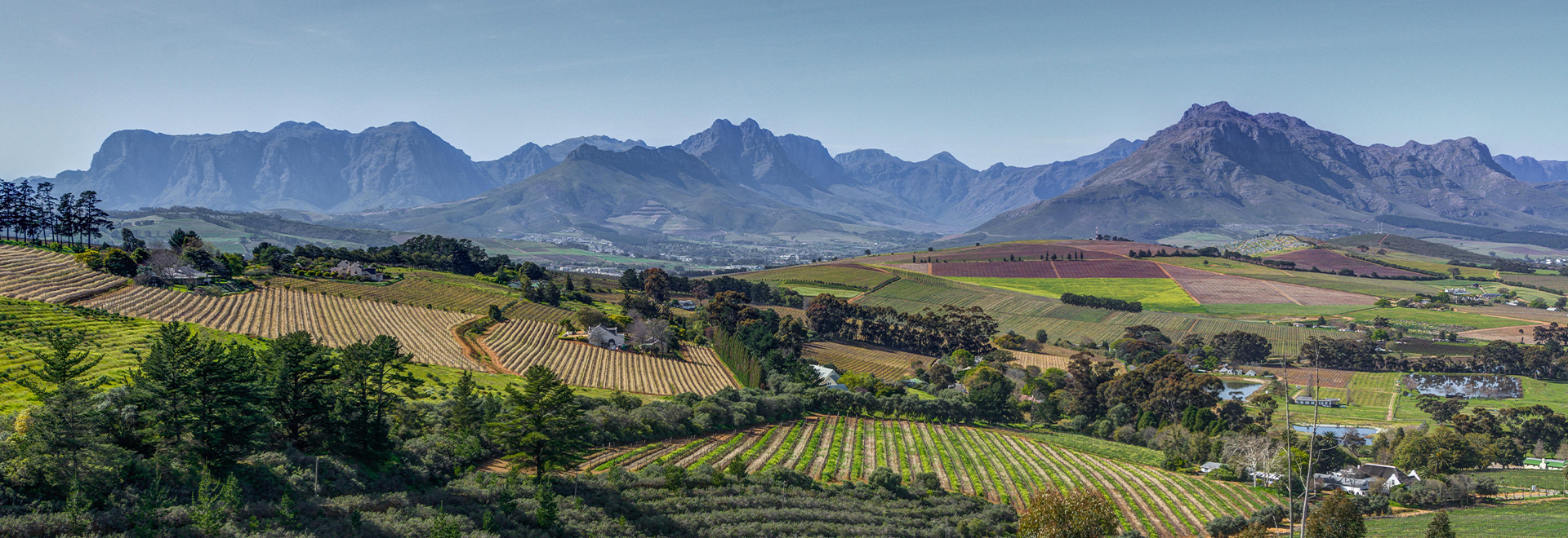 Boutique Hotel & Wedding Venue | Stellenbosch | Cape Winelands